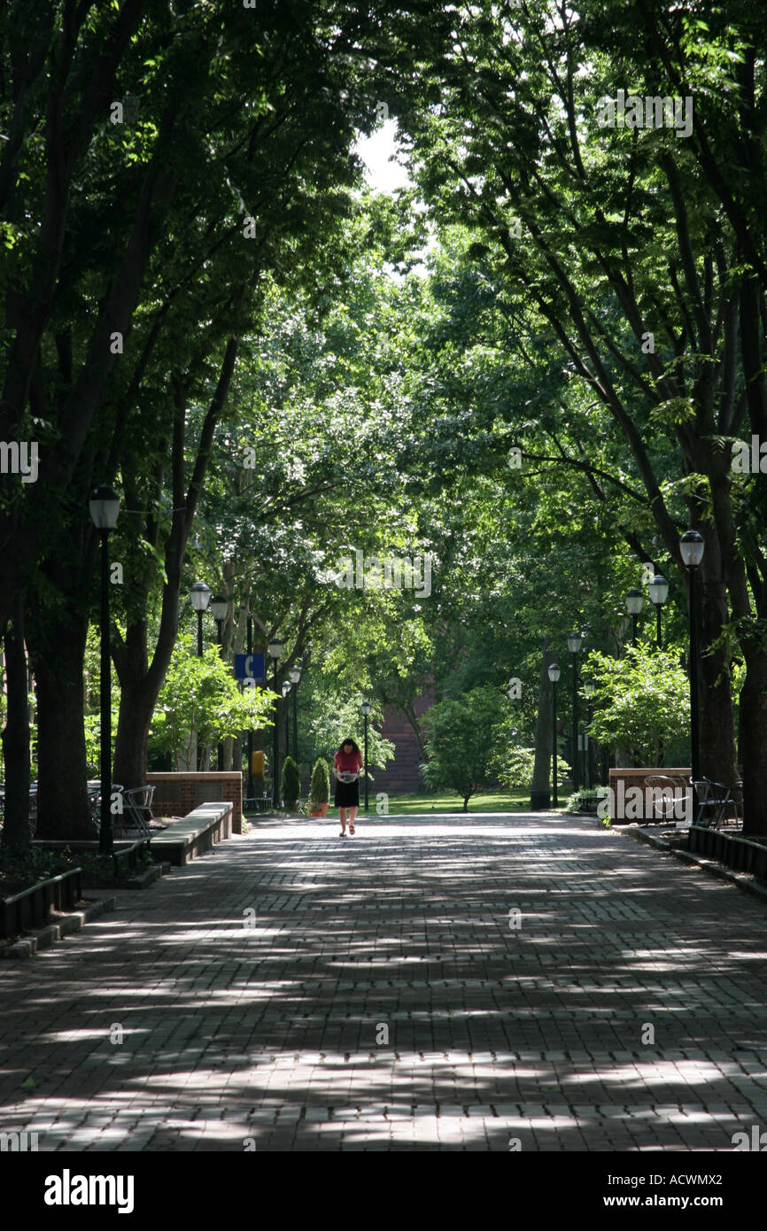 Locust walk University of Pennsylvania Philadelphia Pennsylvania USA ...