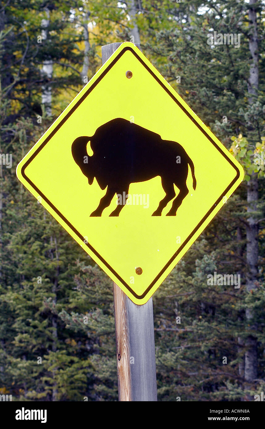 Bison warning sign hi-res stock photography and images - Alamy