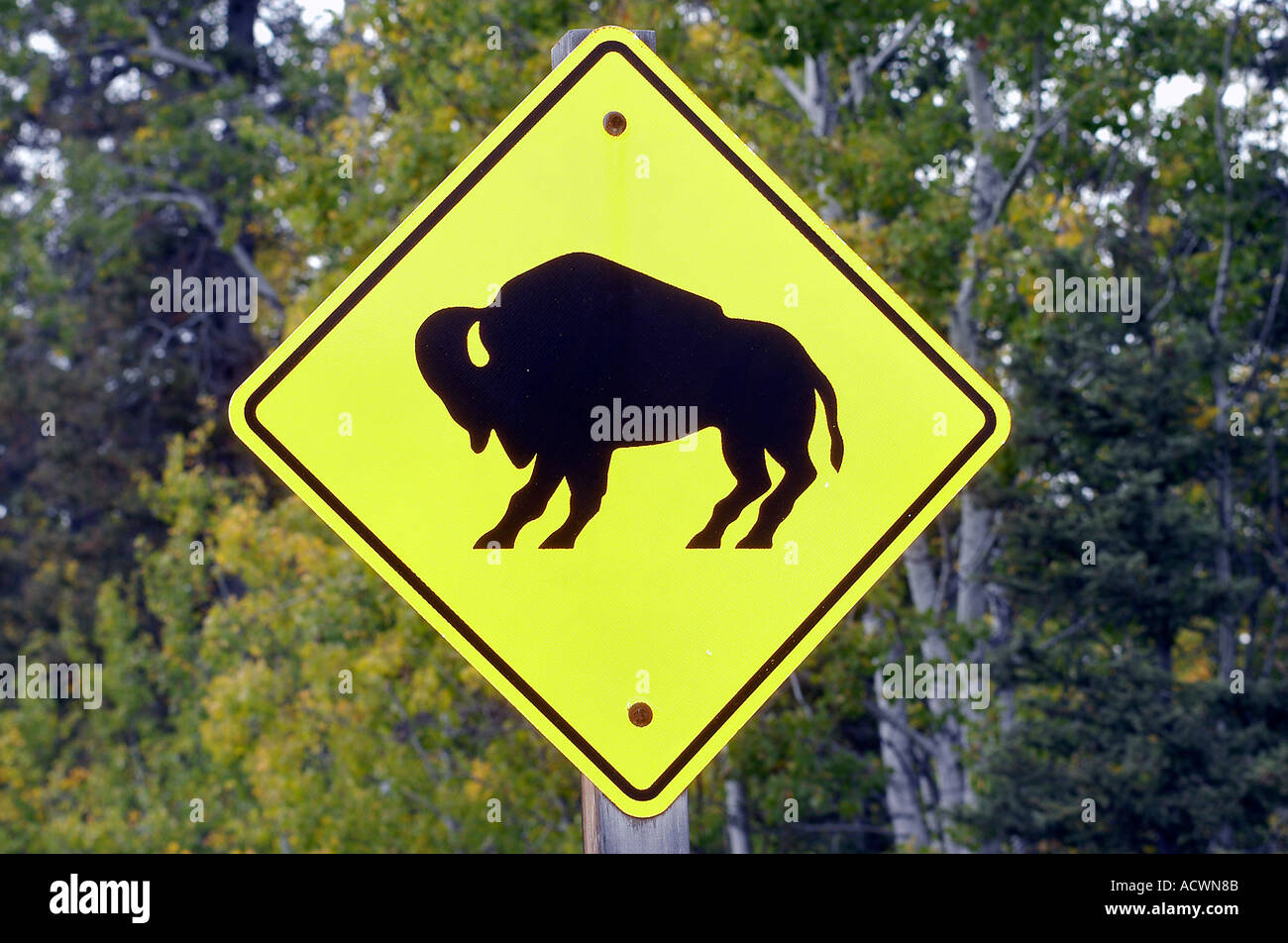 bison warning sign in northern Canada Stock Photo - Alamy