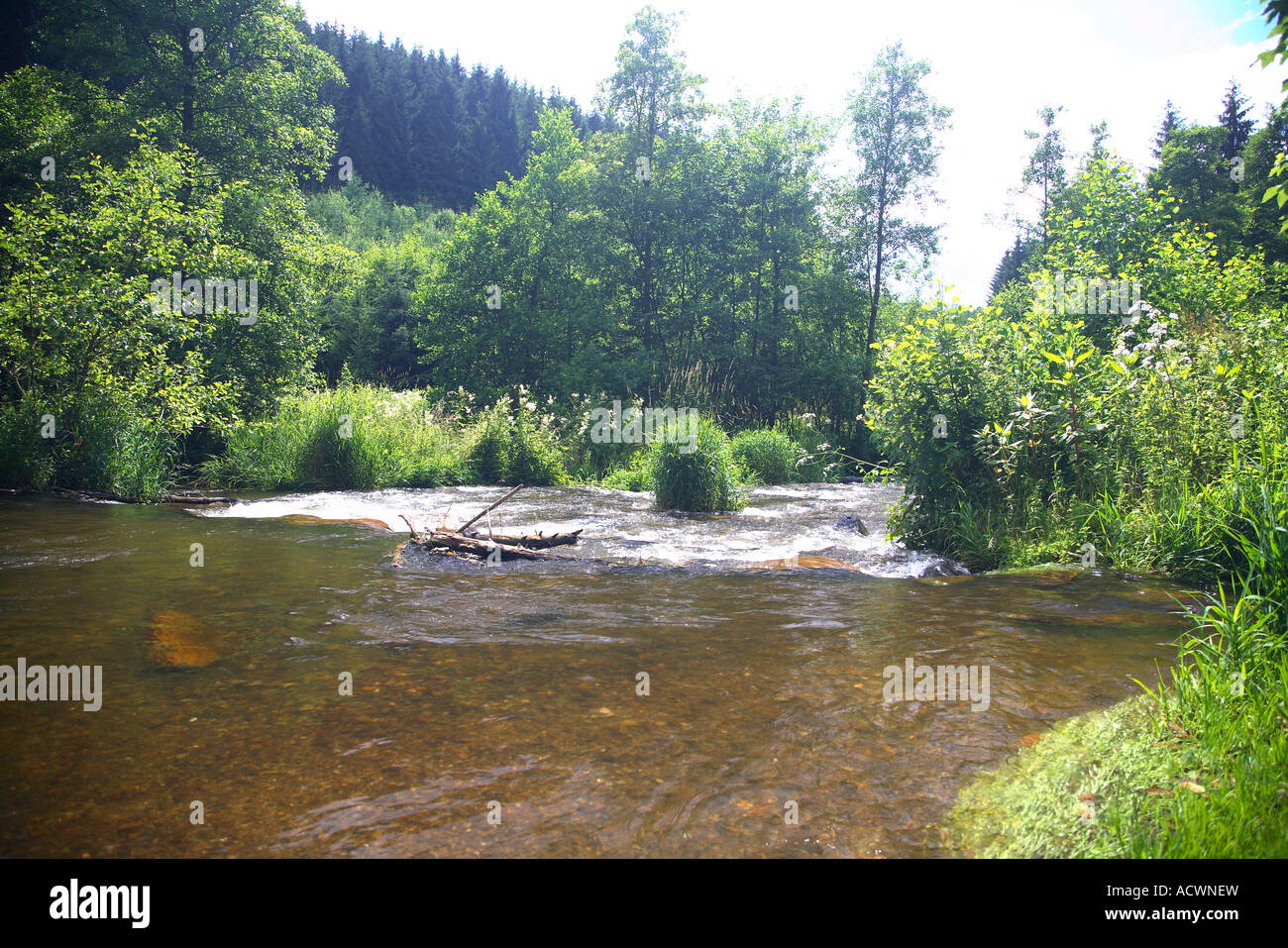 Ardenne belge hi-res stock photography and images - Alamy