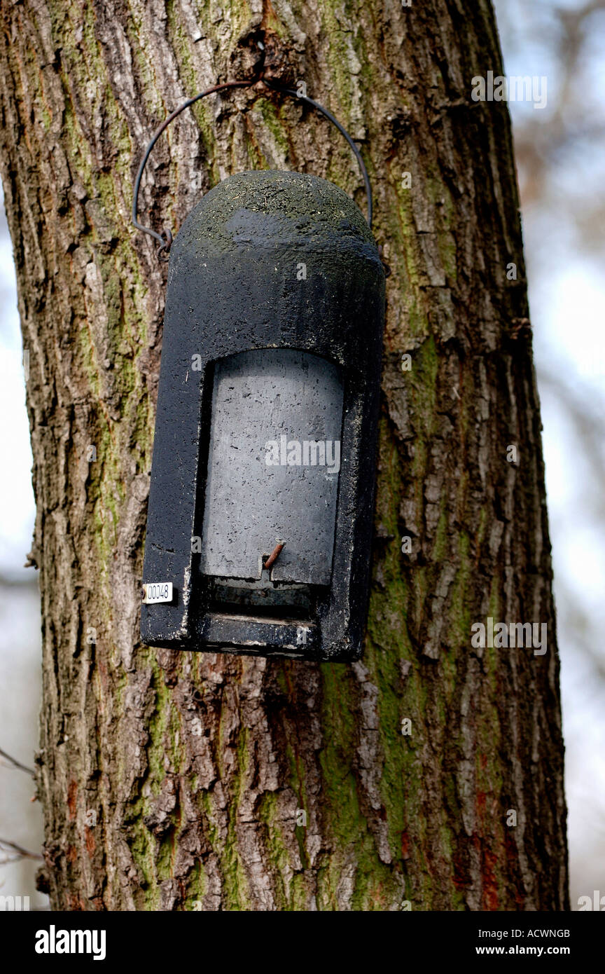Batbox hi-res stock photography and images - Alamy