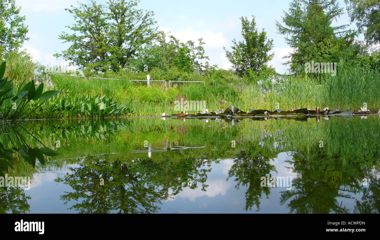 Central park in summer with ponds hi-res stock photography and images ...