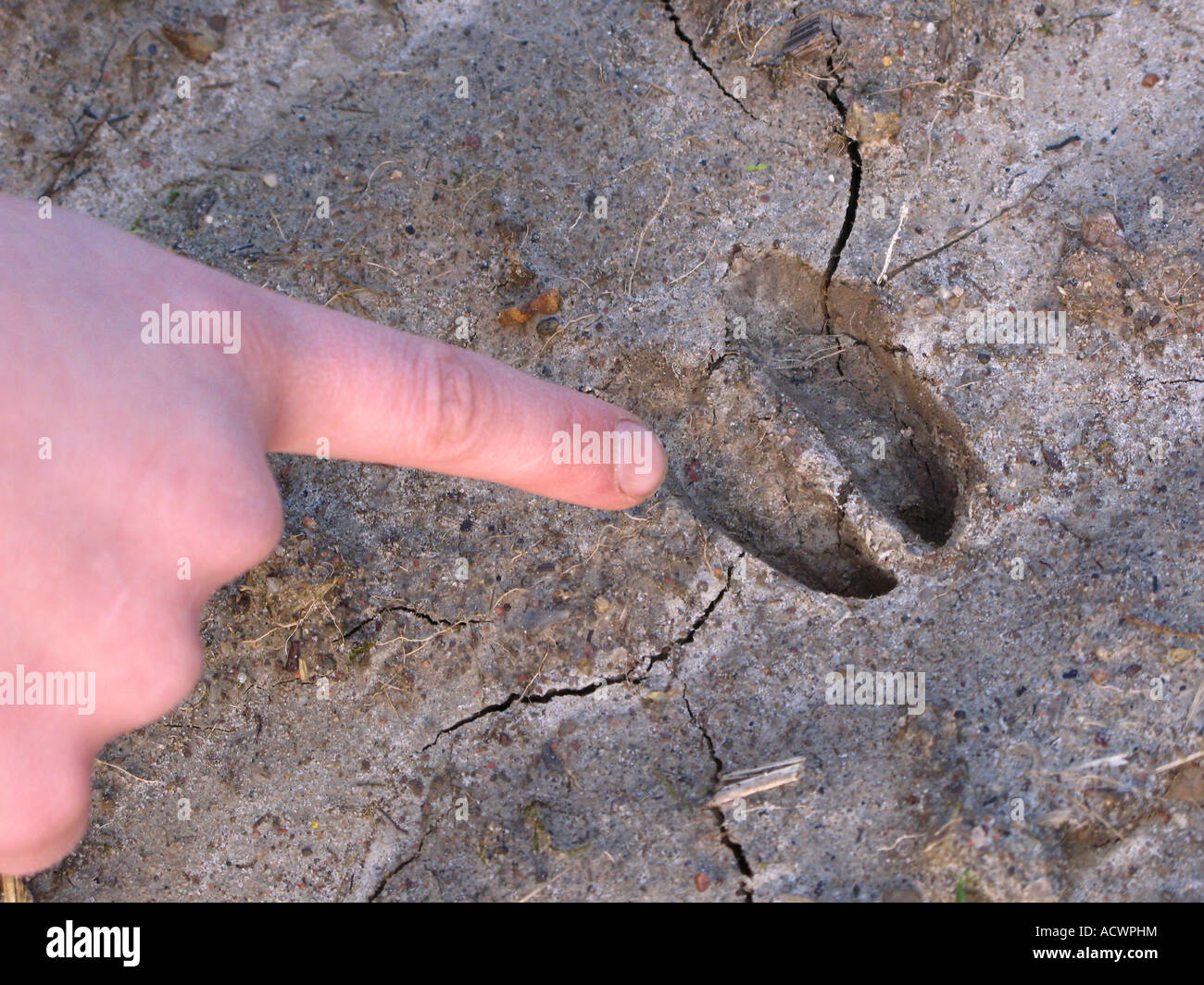 Stone finger hi-res stock photography and images - Alamy