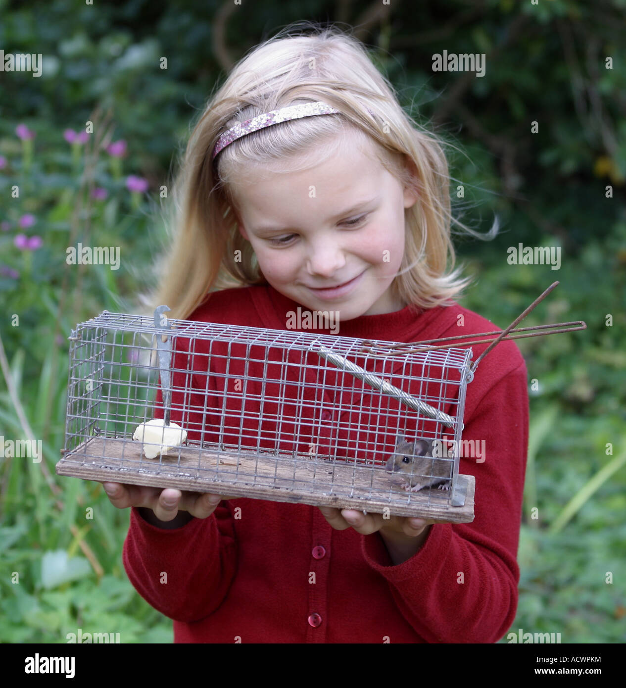 young girl with a mouse in a live trap Stock Photo - Alamy
