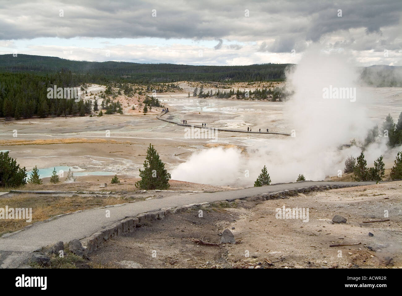 Fumaroles. Norris Geyser Basin. Yellowstone National Park. Wyoming ...