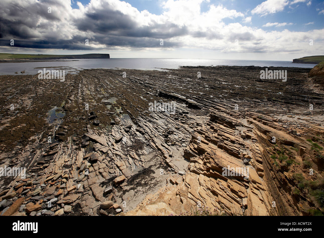 The Birsay Bay Orkney Islands Scotland UK Stock Photo - Alamy