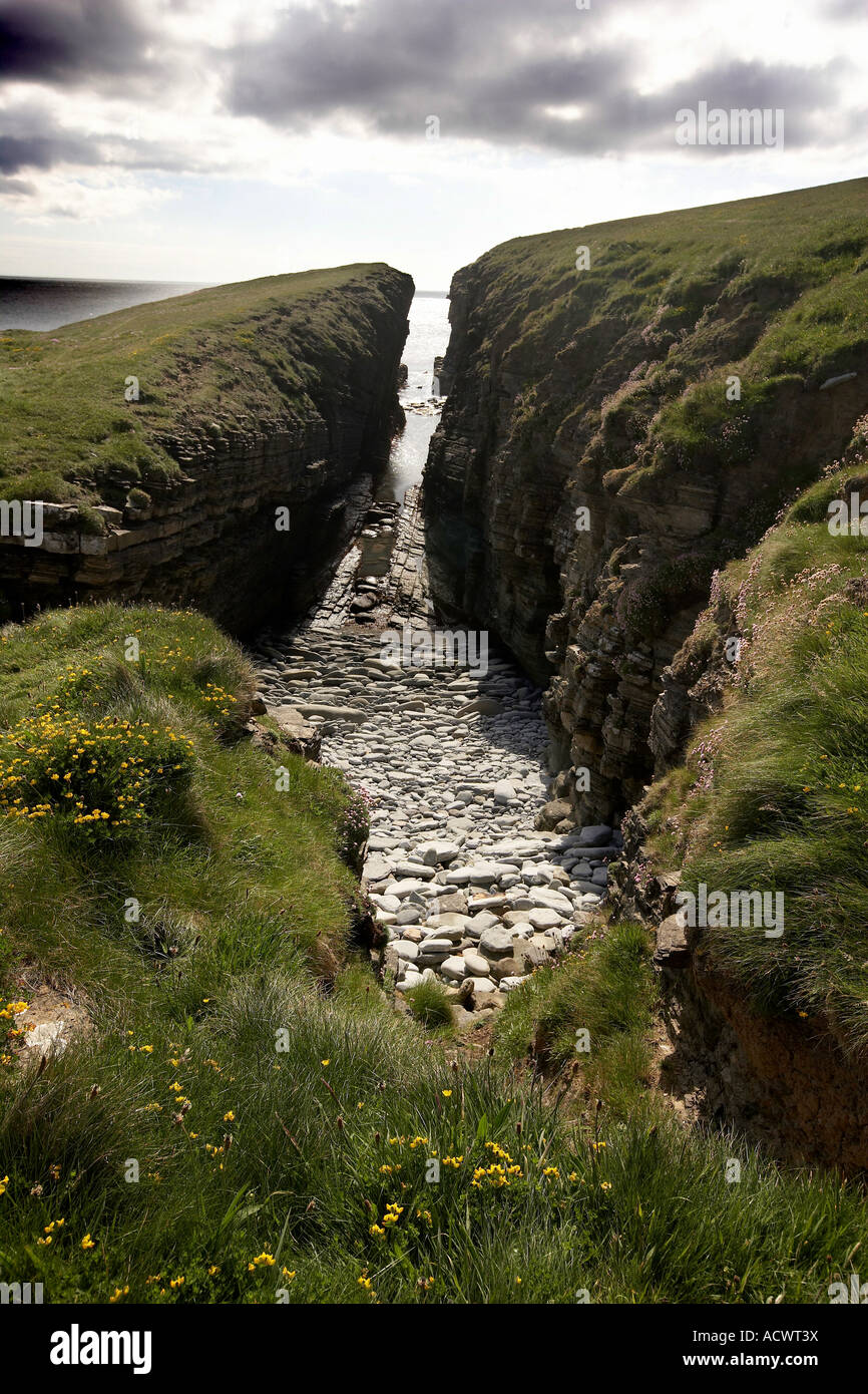Geo inlet and cliffs on the brough of birsay Orkney Islands Scotland UK ...