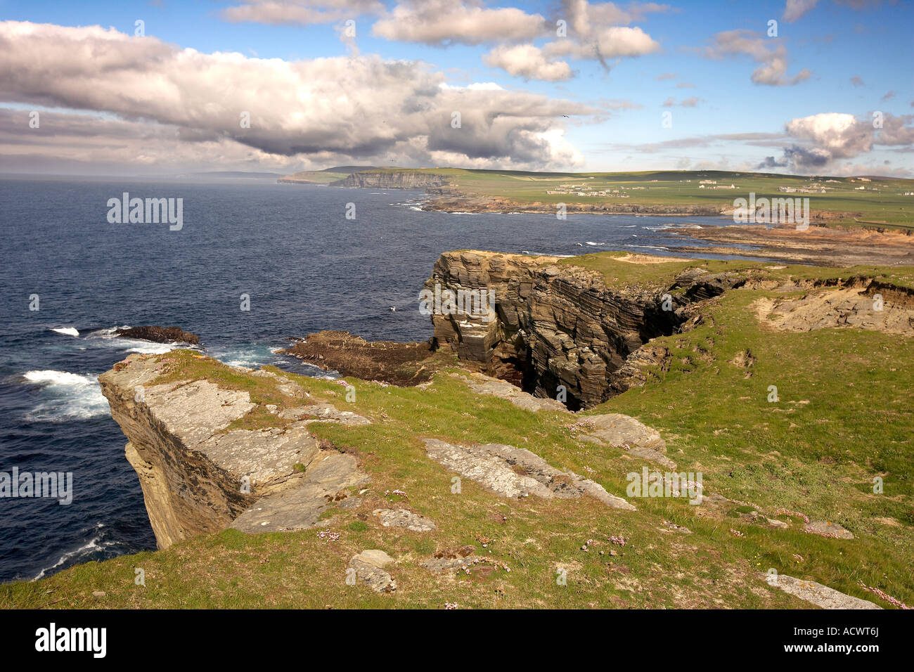 Cliffs on the brough of birsay Orkney Islands Scotland UK Stock Photo ...
