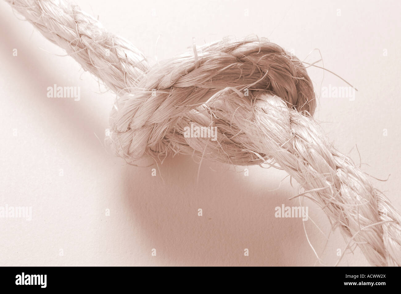 Rope with Knot Stock Photo - Alamy