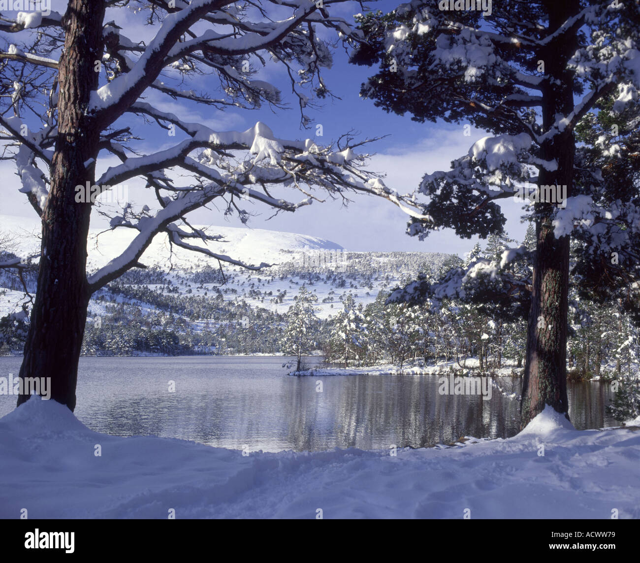 Snowscene Inverness shire Stock Photo - Alamy