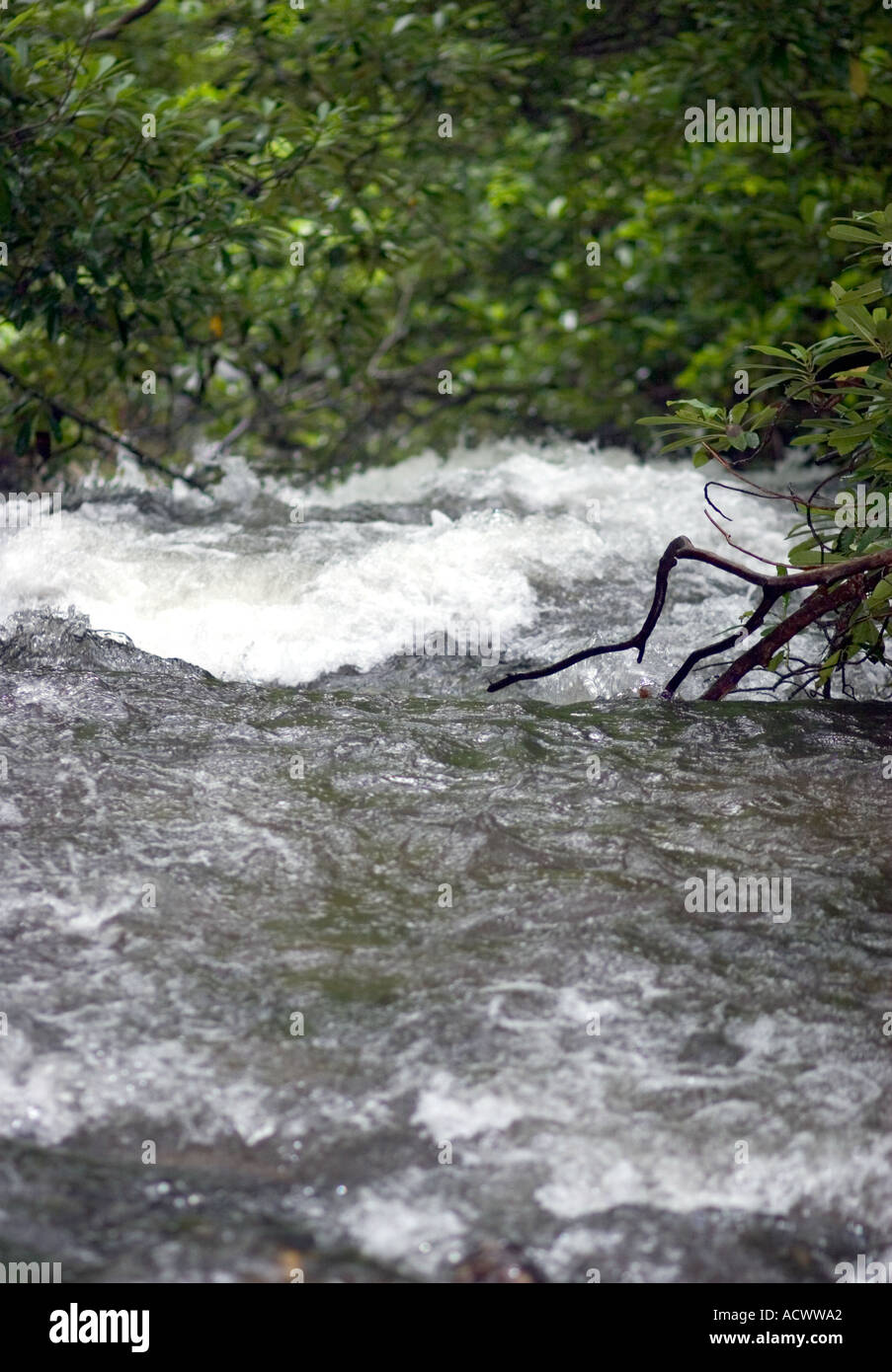 Purple rushing waterfall hi-res stock photography and images - Alamy