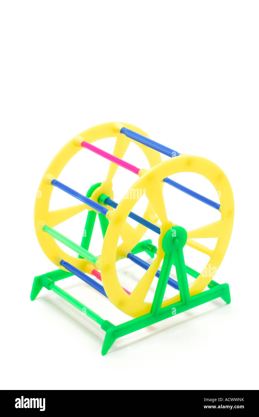 Pet Exercise Wheels Stock Photo - Alamy