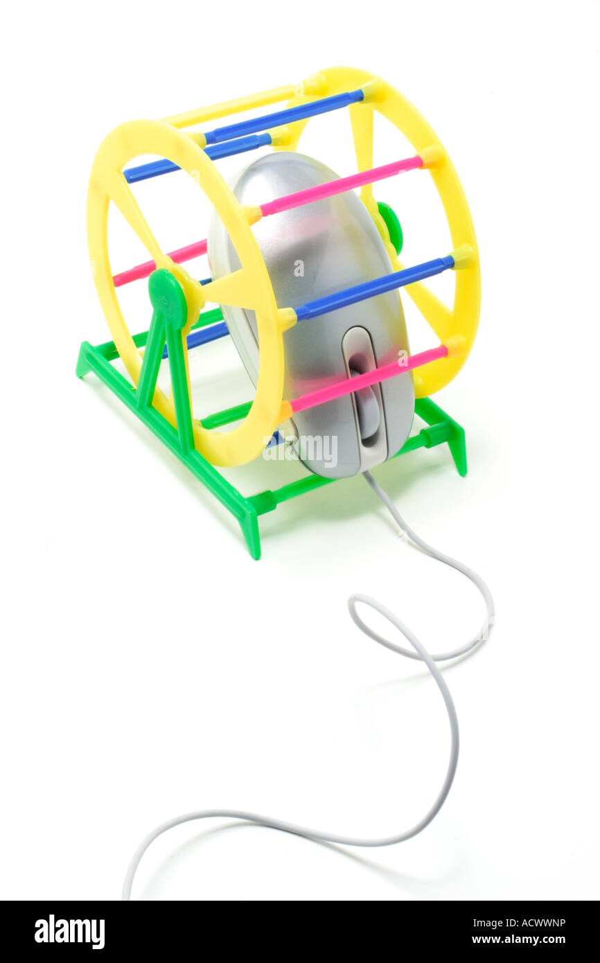 Computer Mouse in Pet Exercise Wheels Stock Photo - Alamy