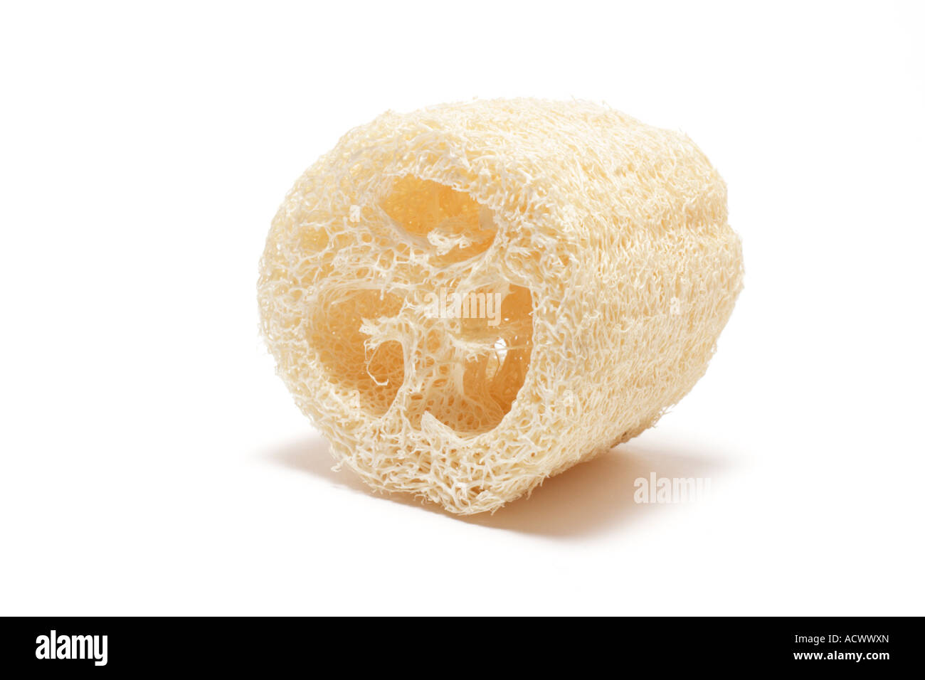 Loofah cutout hi-res stock photography and images - Alamy