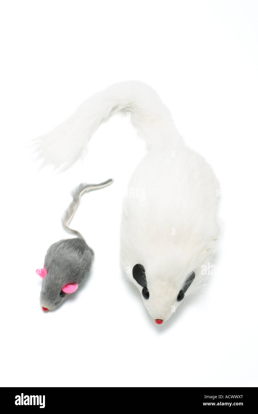 Mice toy hi-res stock photography and images - Alamy