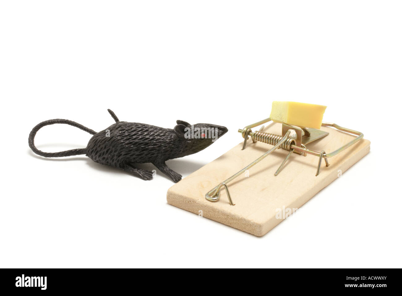 Toy Mouse and Trap Stock Photo - Alamy