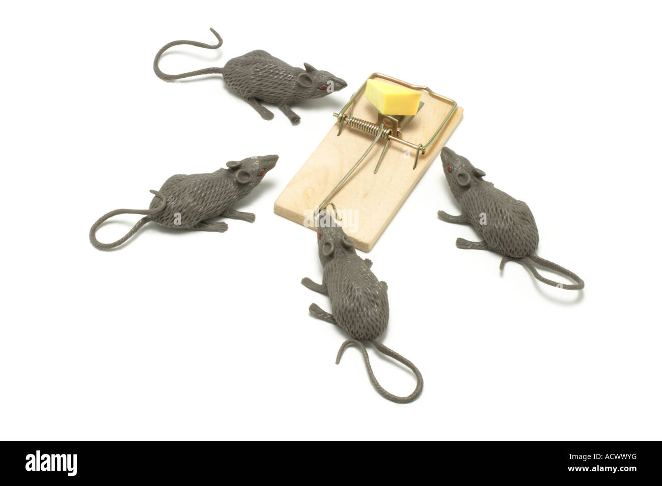 Toy Mice and Trap Stock Photo - Alamy