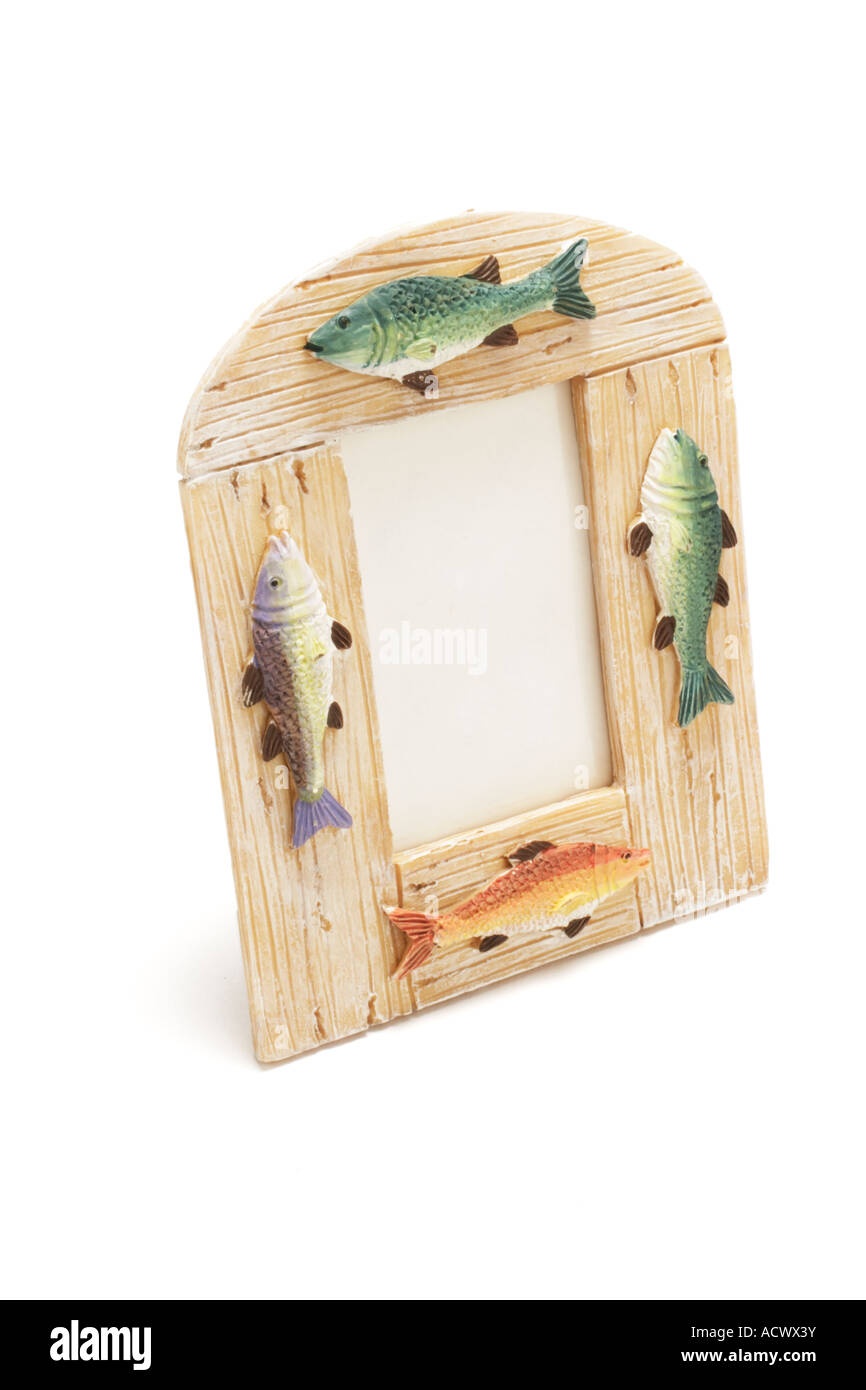 Fish Photo Frame Stock Photo - Alamy