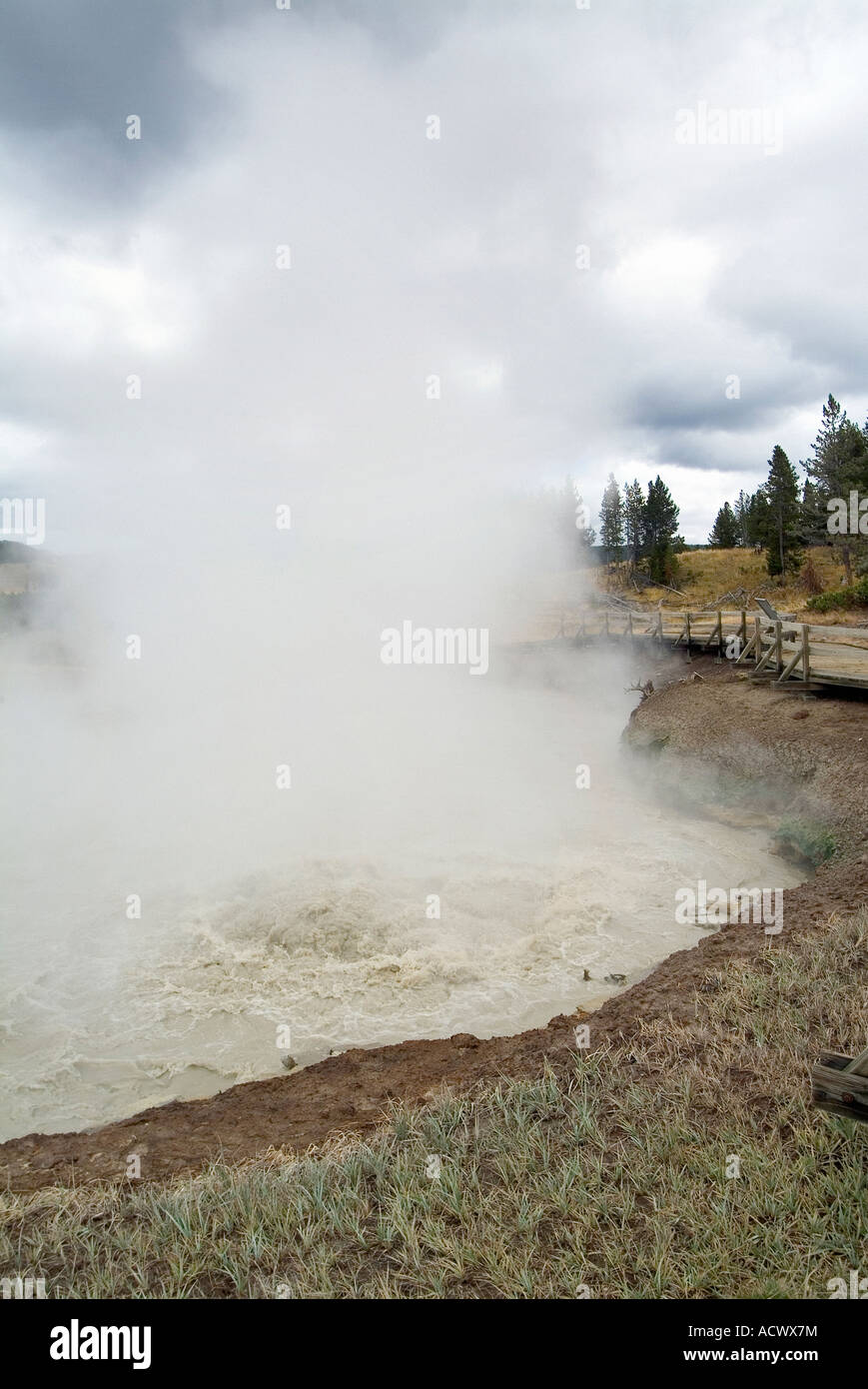 Mud Volcano area. Yellowstone National Park. Wyoming State. USA Stock ...