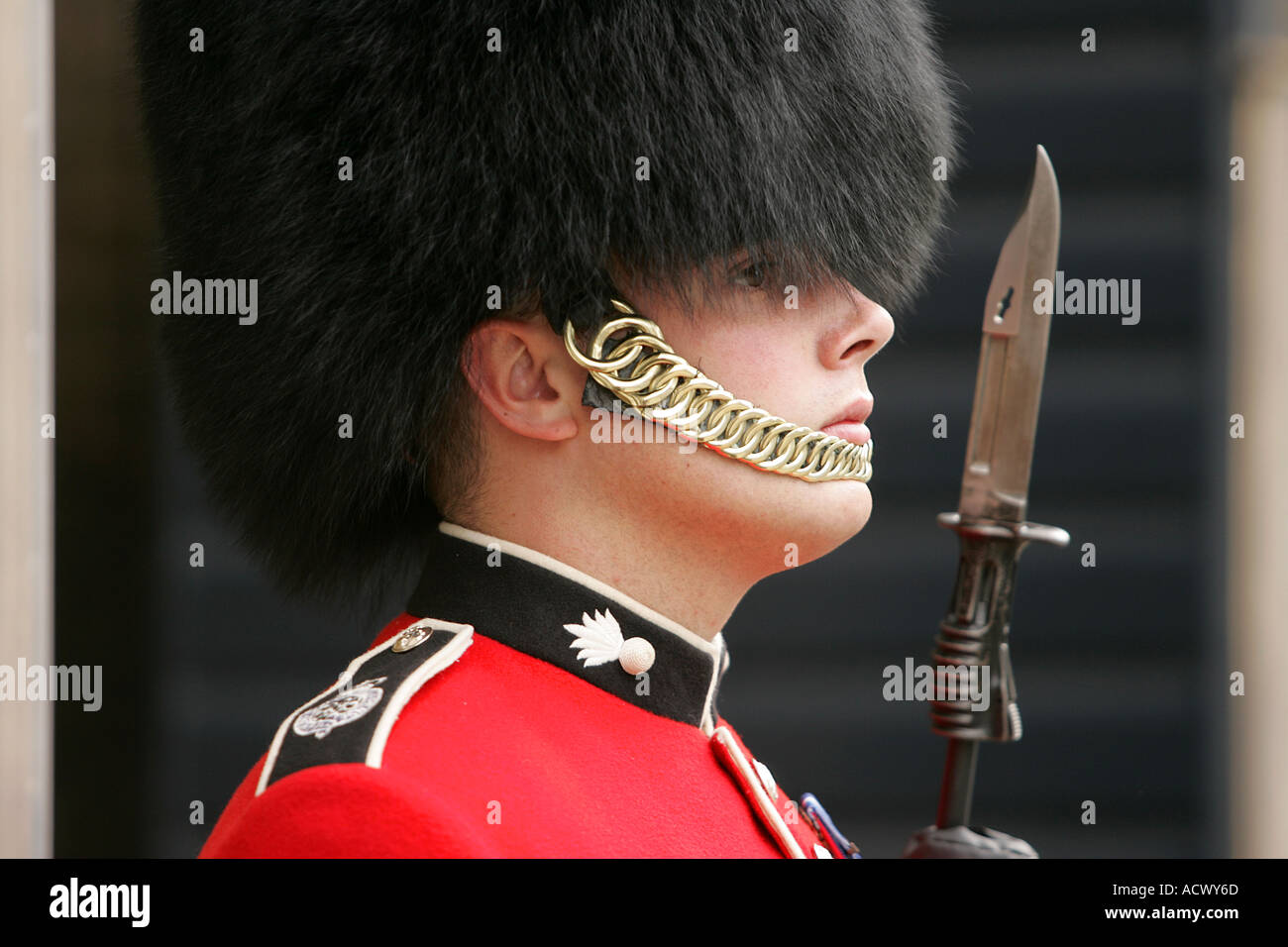 young man in uniform guard soldier military Buckingham palace London ...