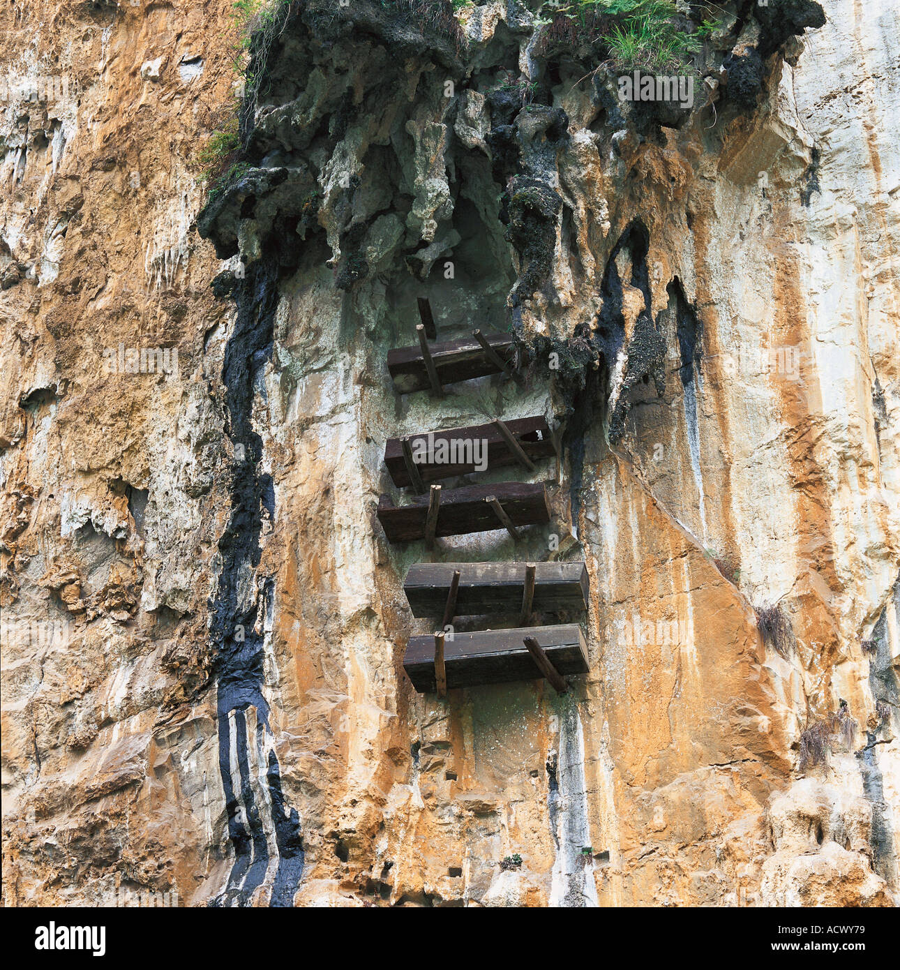 Chinese coffin hi-res stock photography and images - Alamy