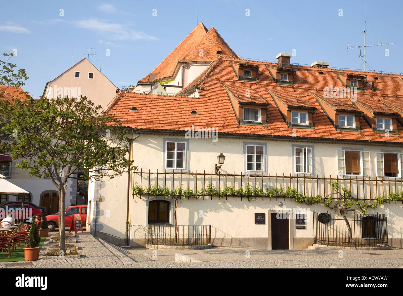 Stara Trta ( oldest vine in the world ) Lent , Maribor , Slovenia Stock ...