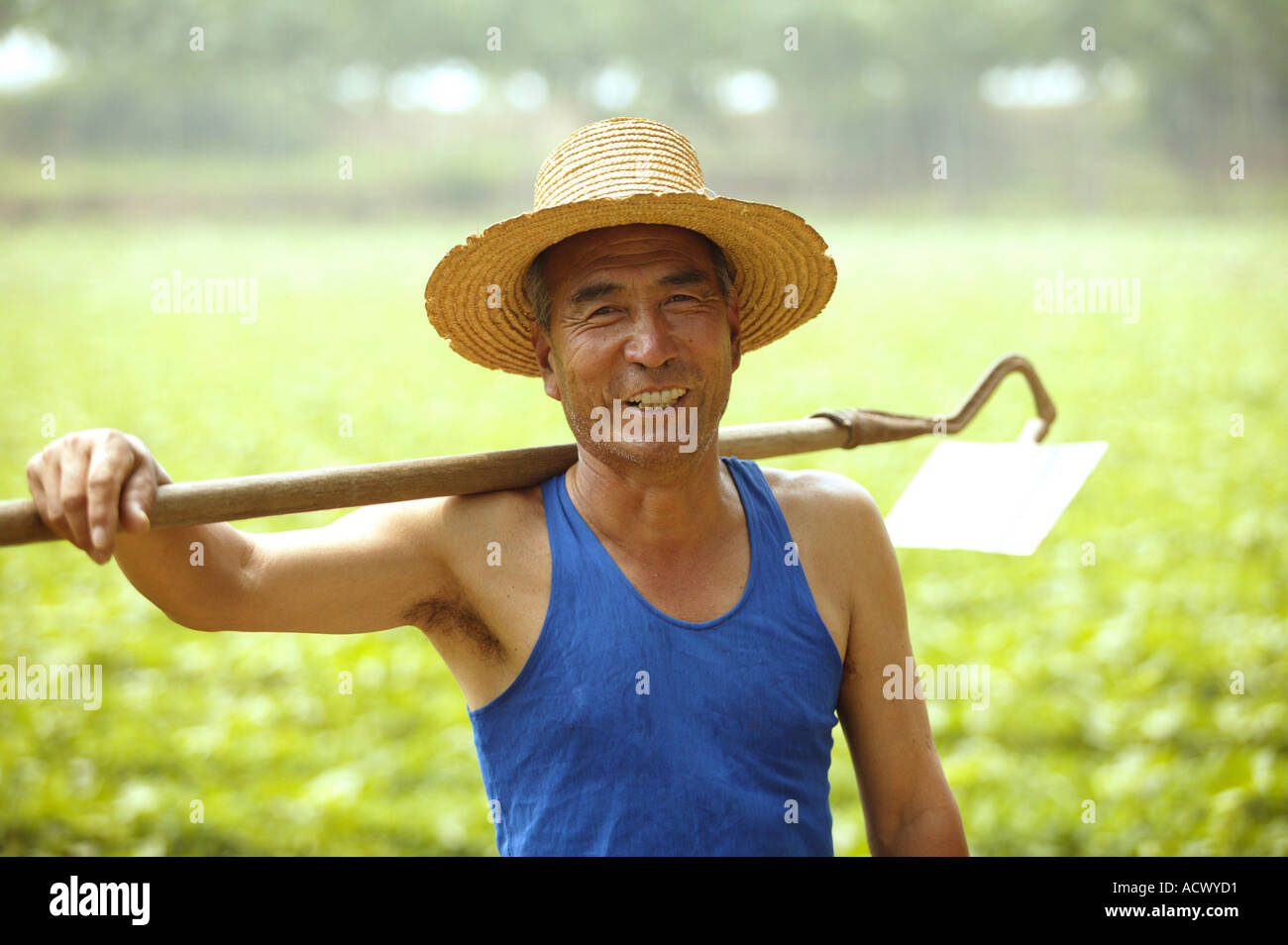 A chinese farmer standing in a field Stock Photo - Alamy