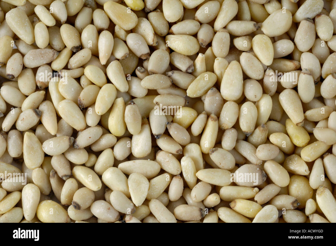Pine Nut High Resolution Stock Photography and Images - Alamy