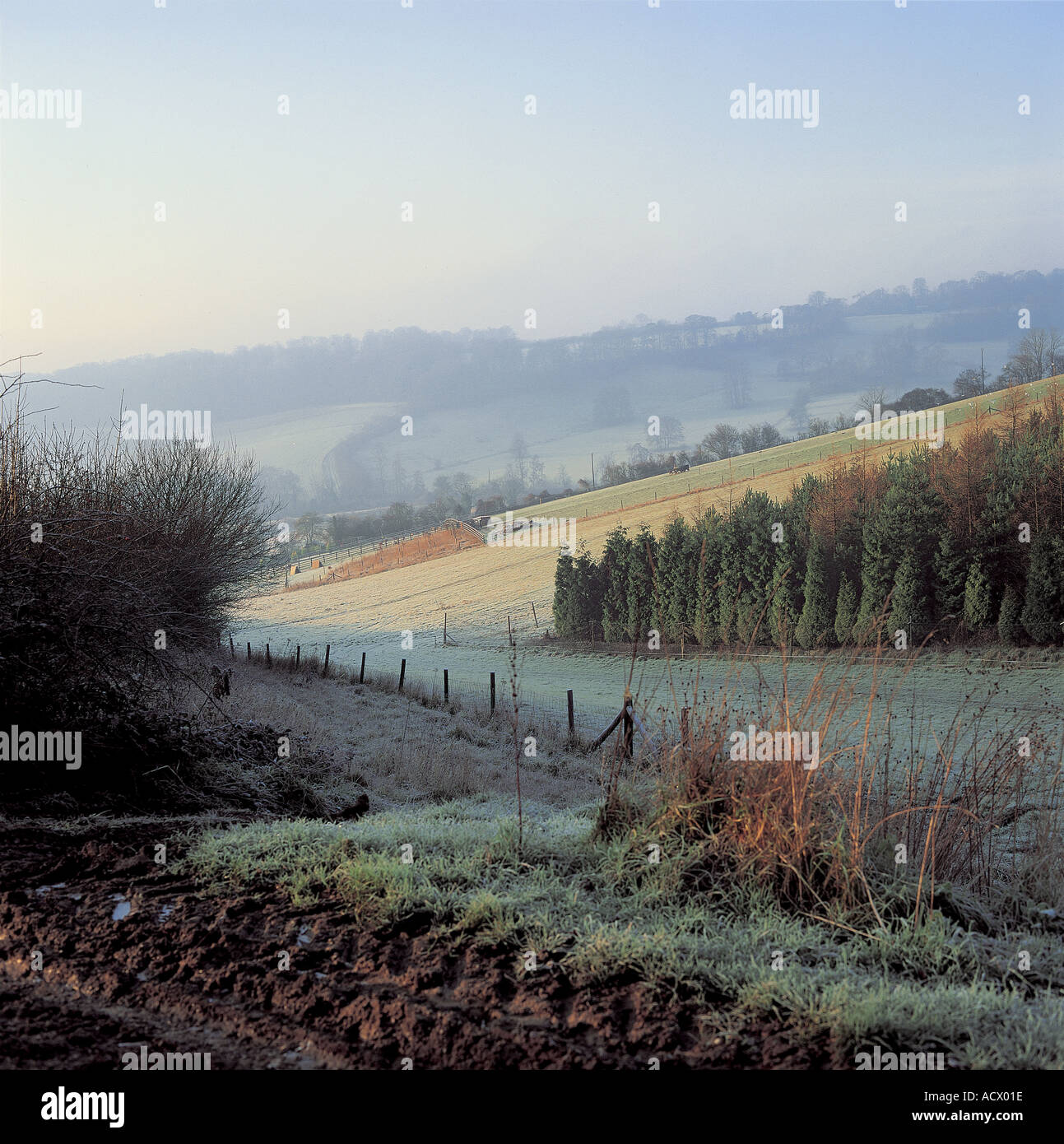 Lane end chilterns hi-res stock photography and images - Alamy