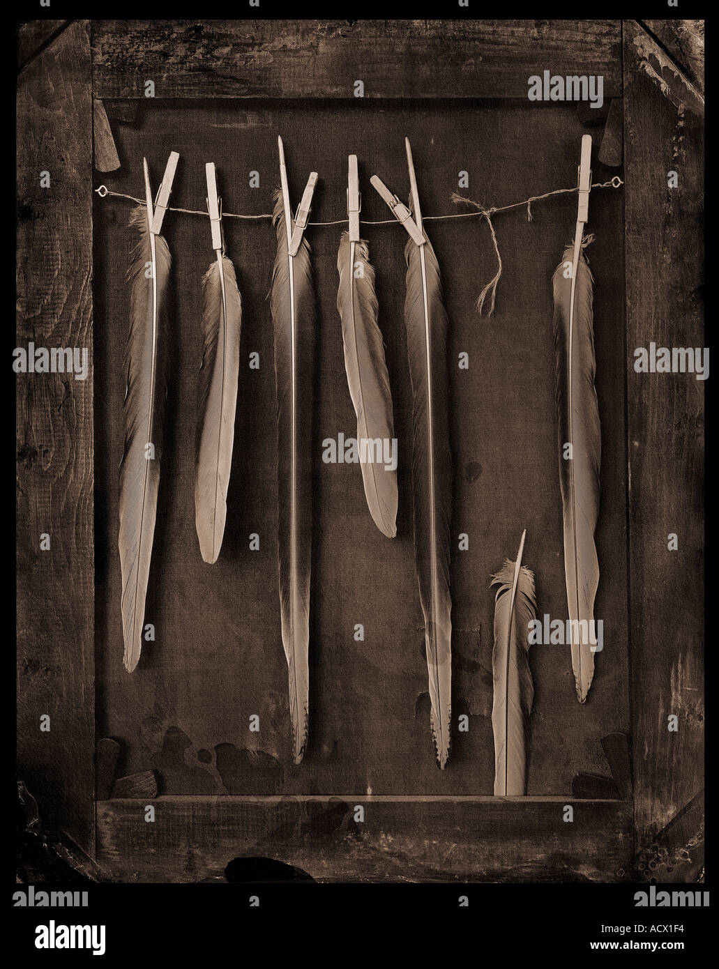 Artistic photograph of feathers Stock Photo - Alamy