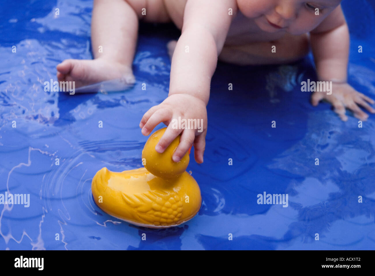Baby in wading pool reaching for "rubber ducky Stock Photo - Alamy
