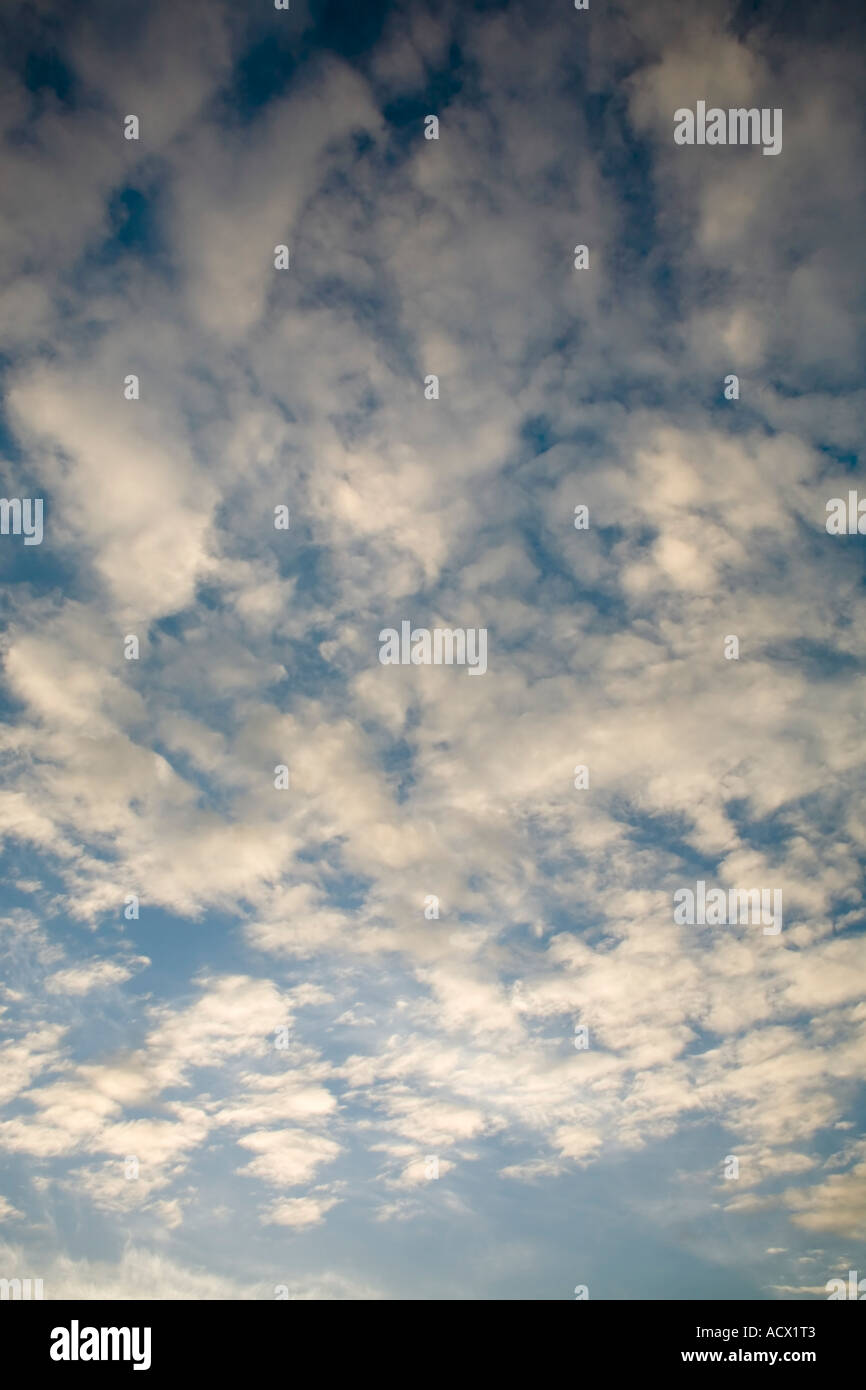 Early morning sky Stock Photo - Alamy