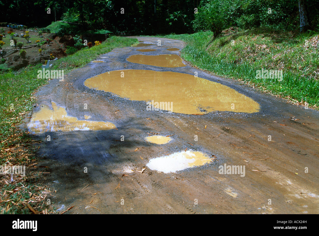 Dirt Road With Puddle Tobago Stock Photo - Alamy