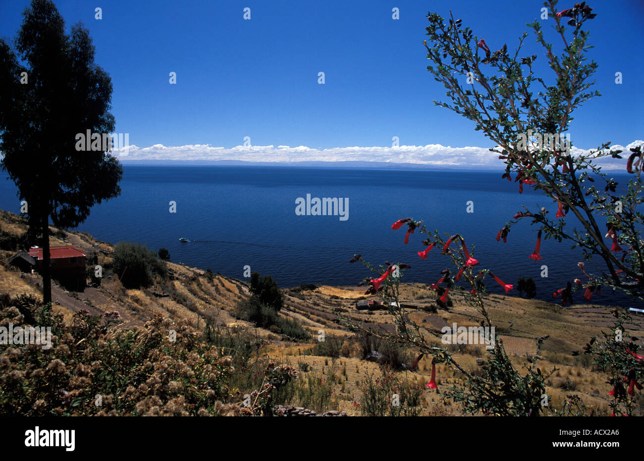 Agricultural terraces on the steep shore of Taquile island The still ...