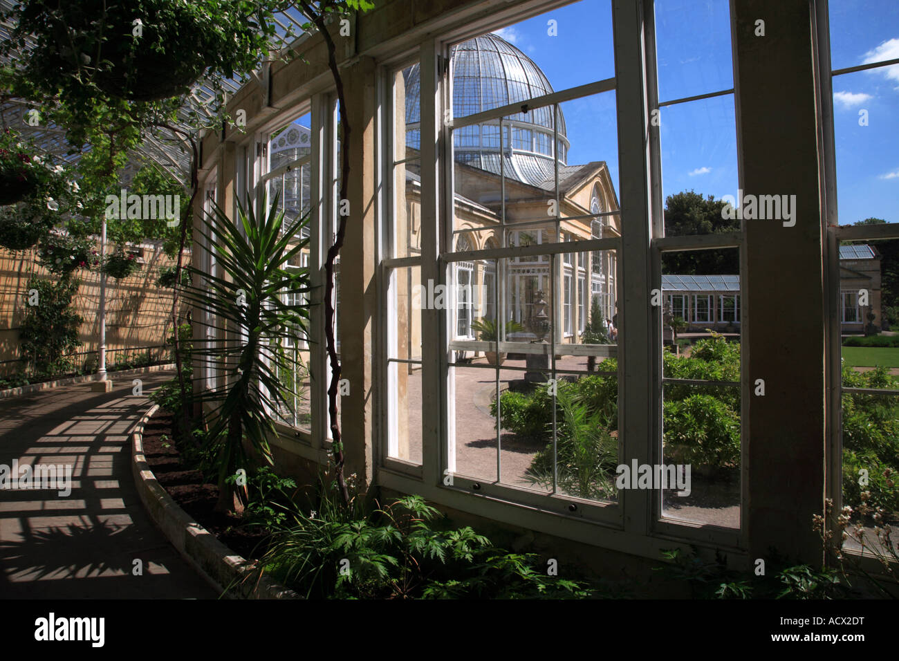 The Great Conservatory Syon Park Brentford London England Stock Photo ...