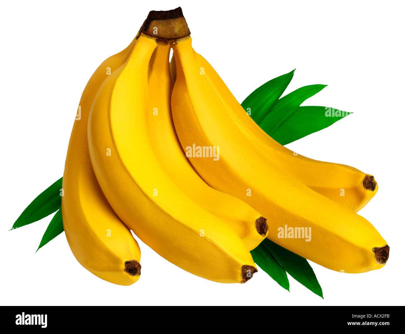 Bananas leaves Cut Out Stock Images & Pictures - Alamy
