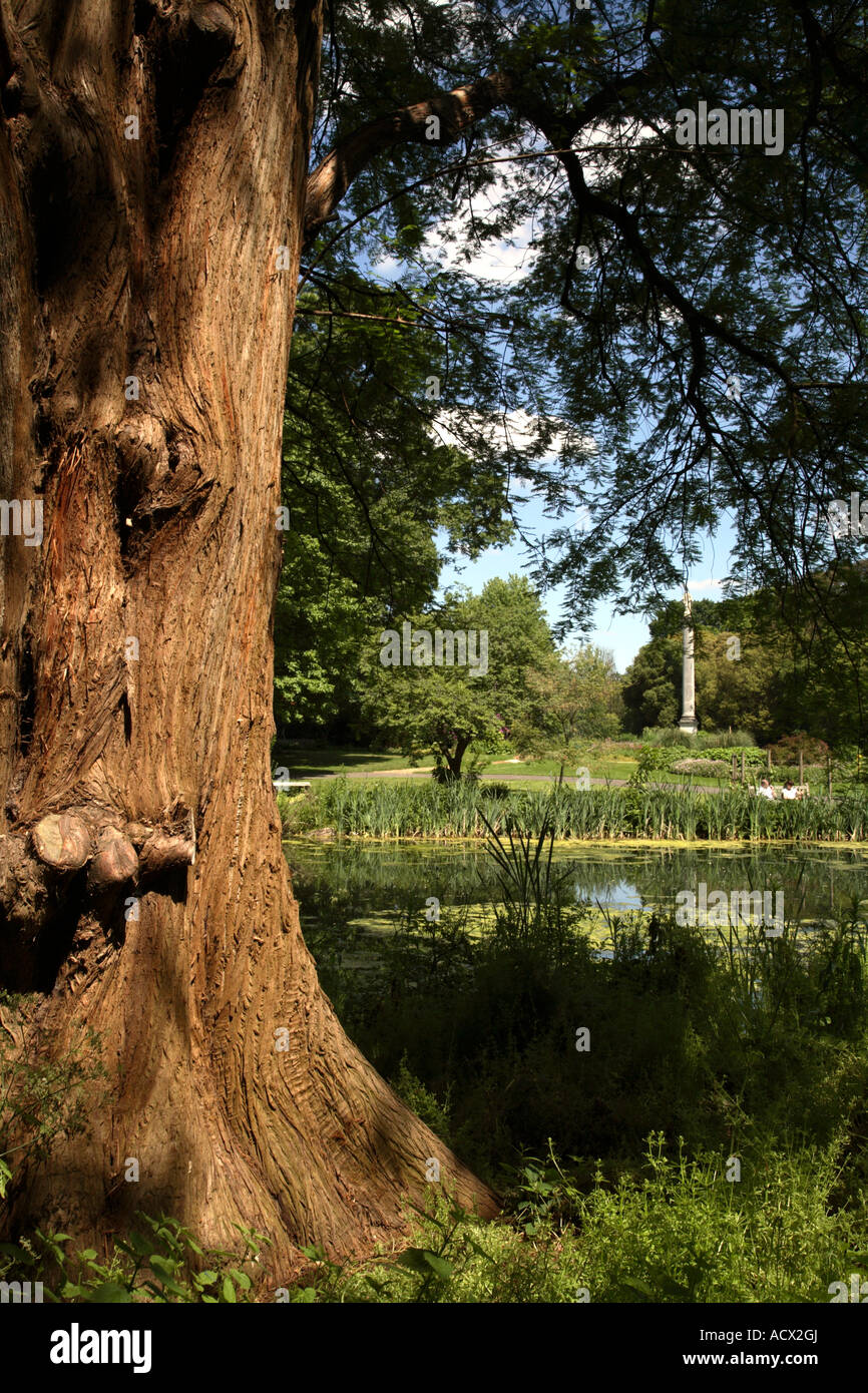 Syon gardens hi-res stock photography and images - Alamy