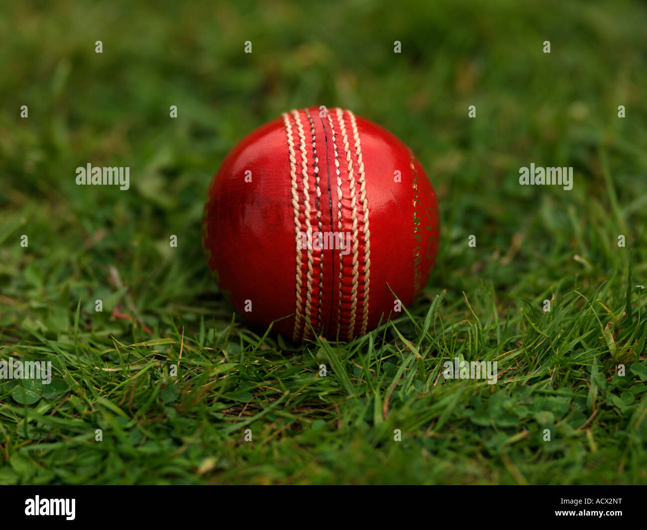 And cricket ball hi-res stock photography and images - Alamy