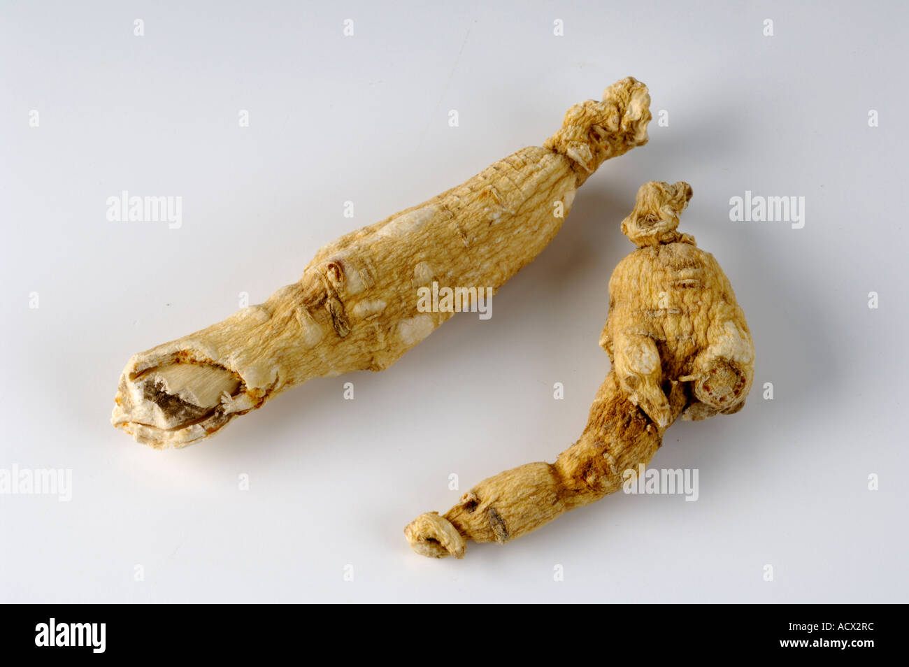 Ginseng plants hi-res stock photography and images - Alamy