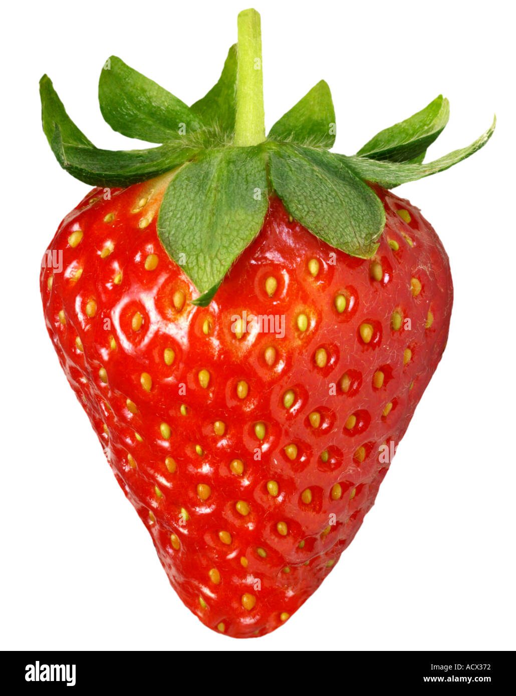 WHOLE STRAWBERRY CUT OUT Stock Photo - Alamy