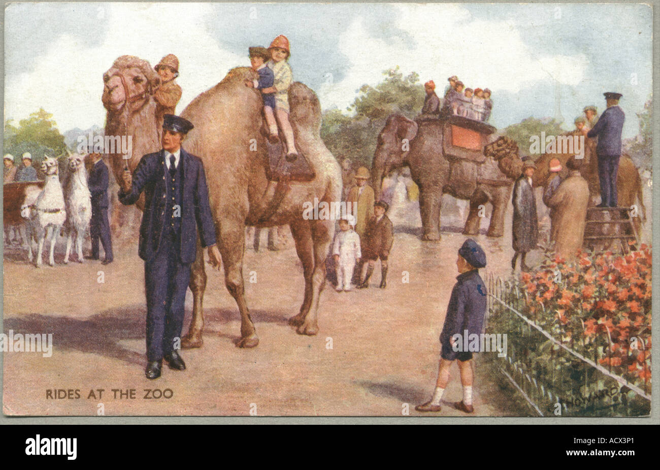 Greeting postcard Rides at the Zoo circa 1935 Stock Photo - Alamy