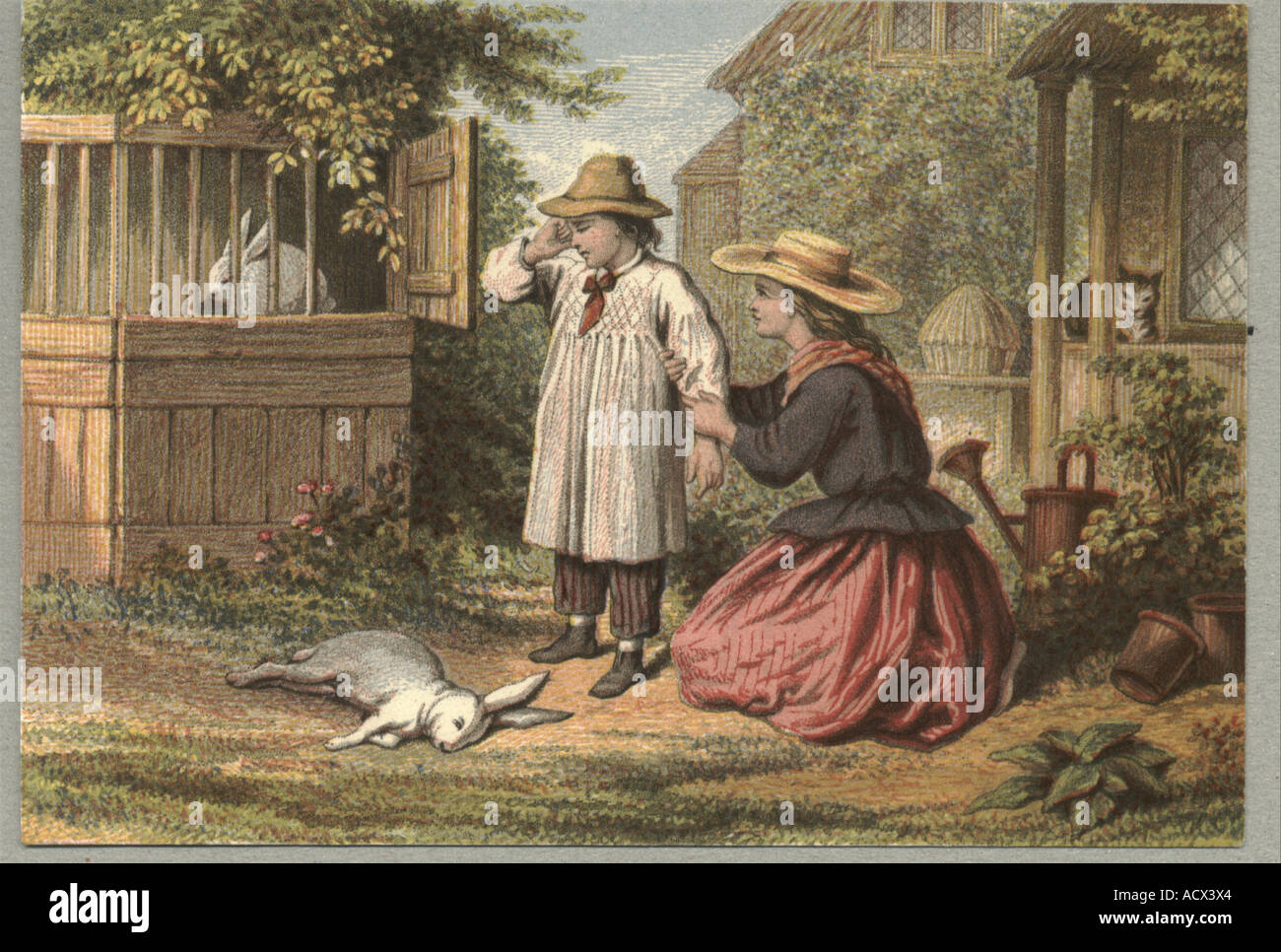 Death rabbit hi-res stock photography and images - Alamy