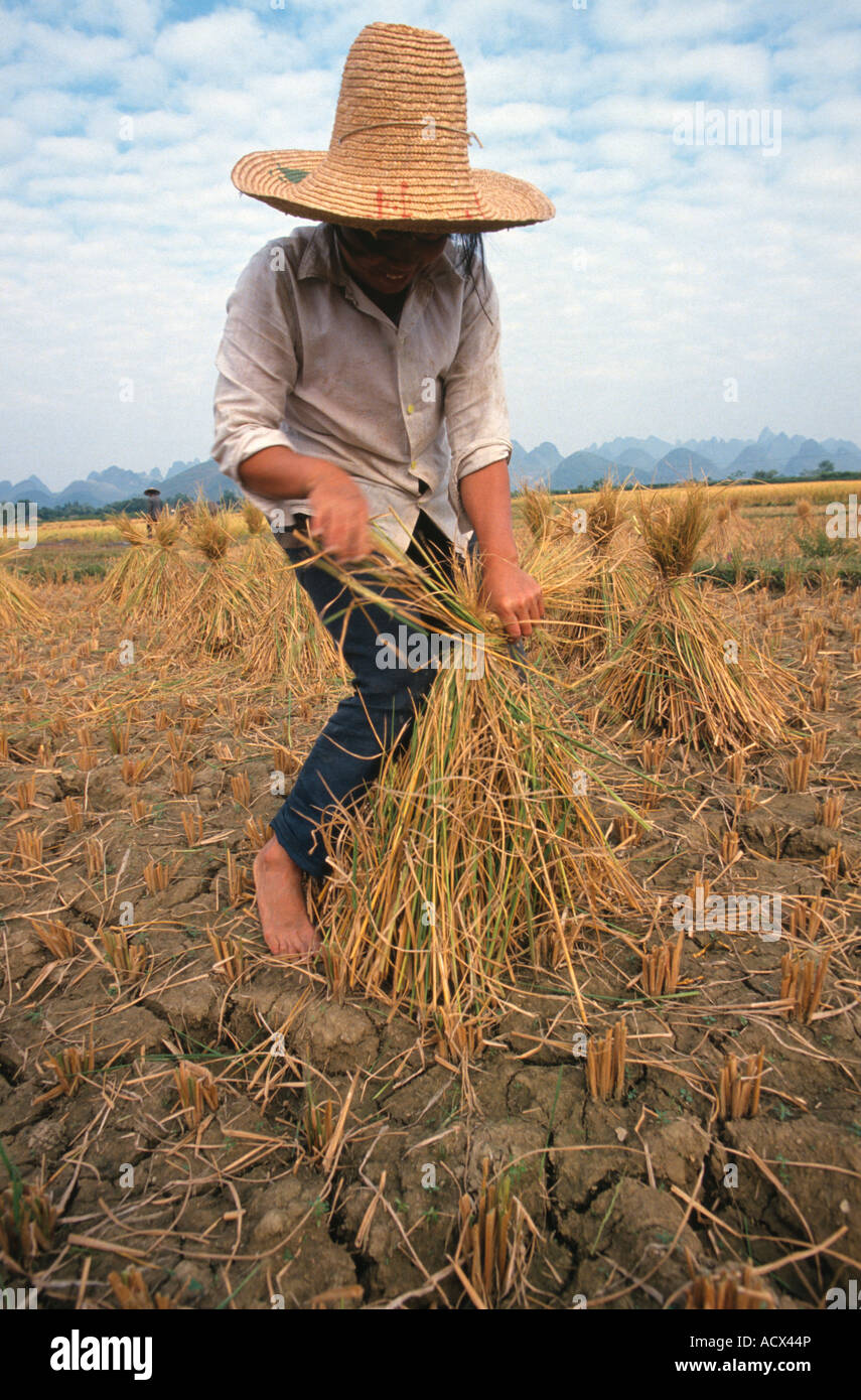 China Peasants Stock Photos & China Peasants Stock Images - Alamy