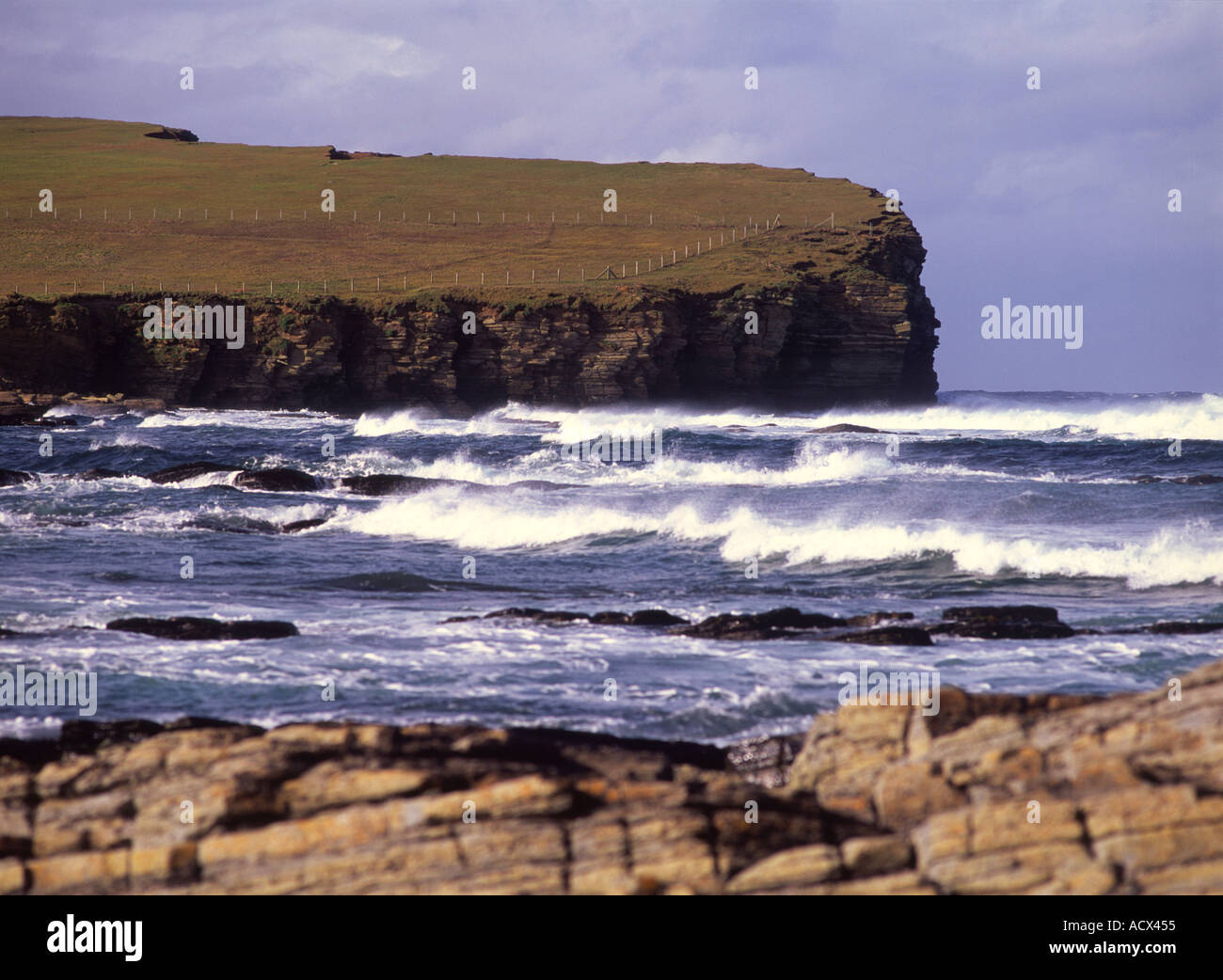 the shore at Birsay Bay Orkney Scotland Stock Photo - Alamy