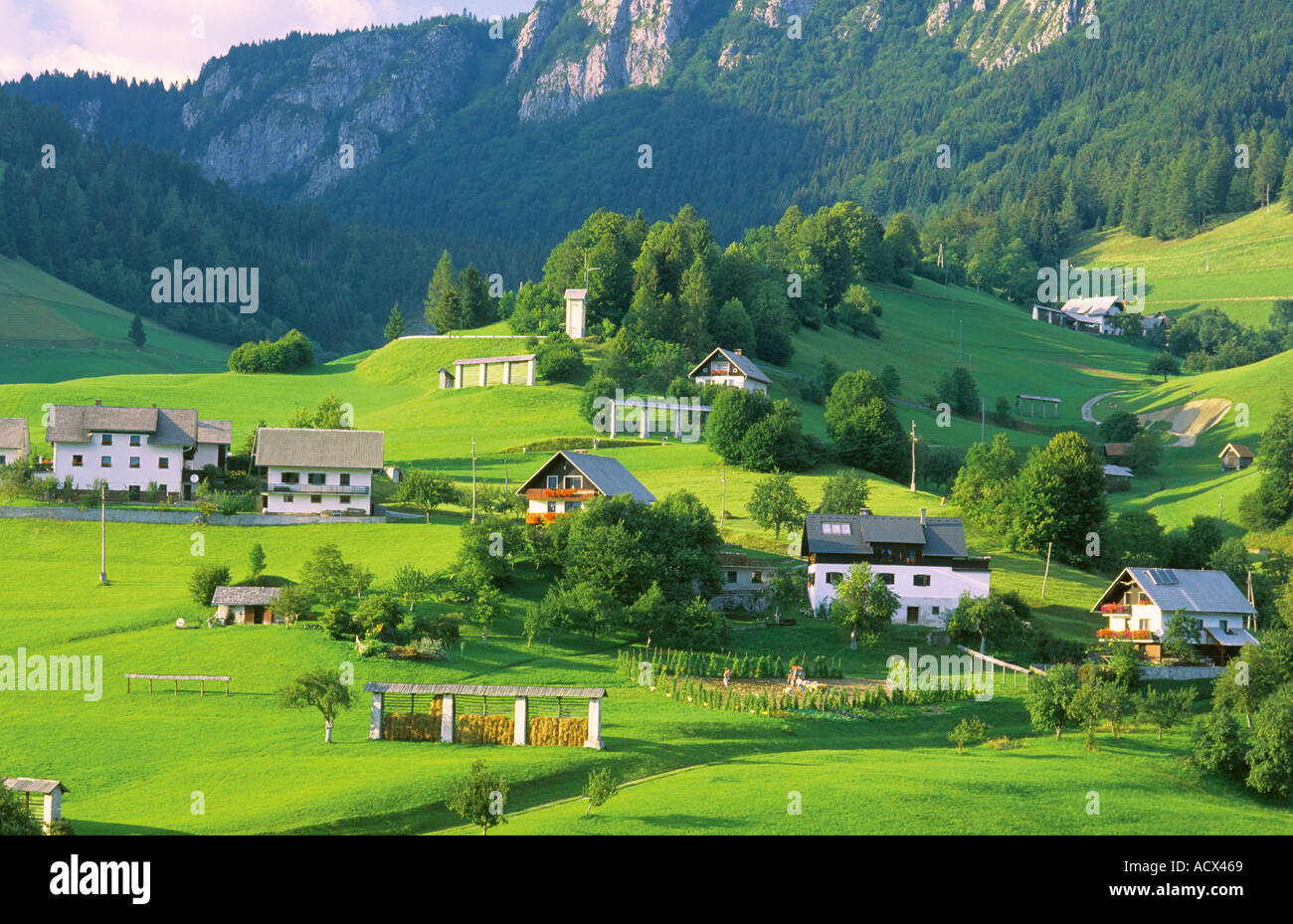 Sorica hi-res stock photography and images - Alamy