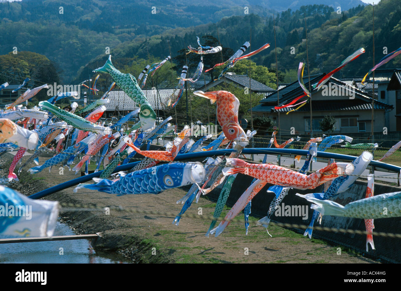 Koi Nobori kites flags celebrating boys day May 5 Ishikawa Japan Stock ...