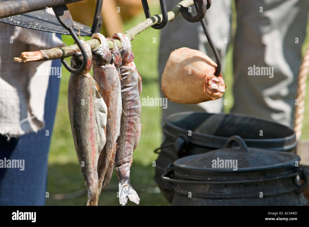 3 fish and chunk of meat hang over open fire during reenactment Stock ...
