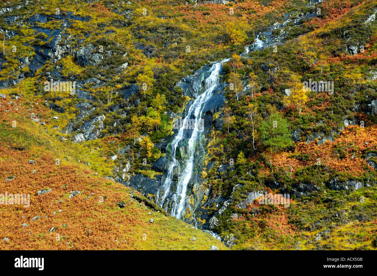 Glen sheil hi-res stock photography and images - Alamy