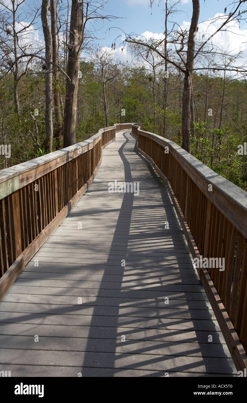 Raised wooden boardwalk kirby storter roadside park florida united ...