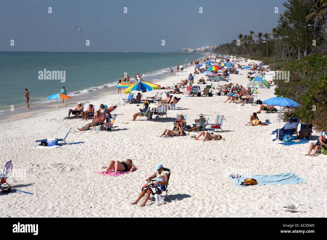 view from naples pier where people are enjoying the sun on the gulf ...